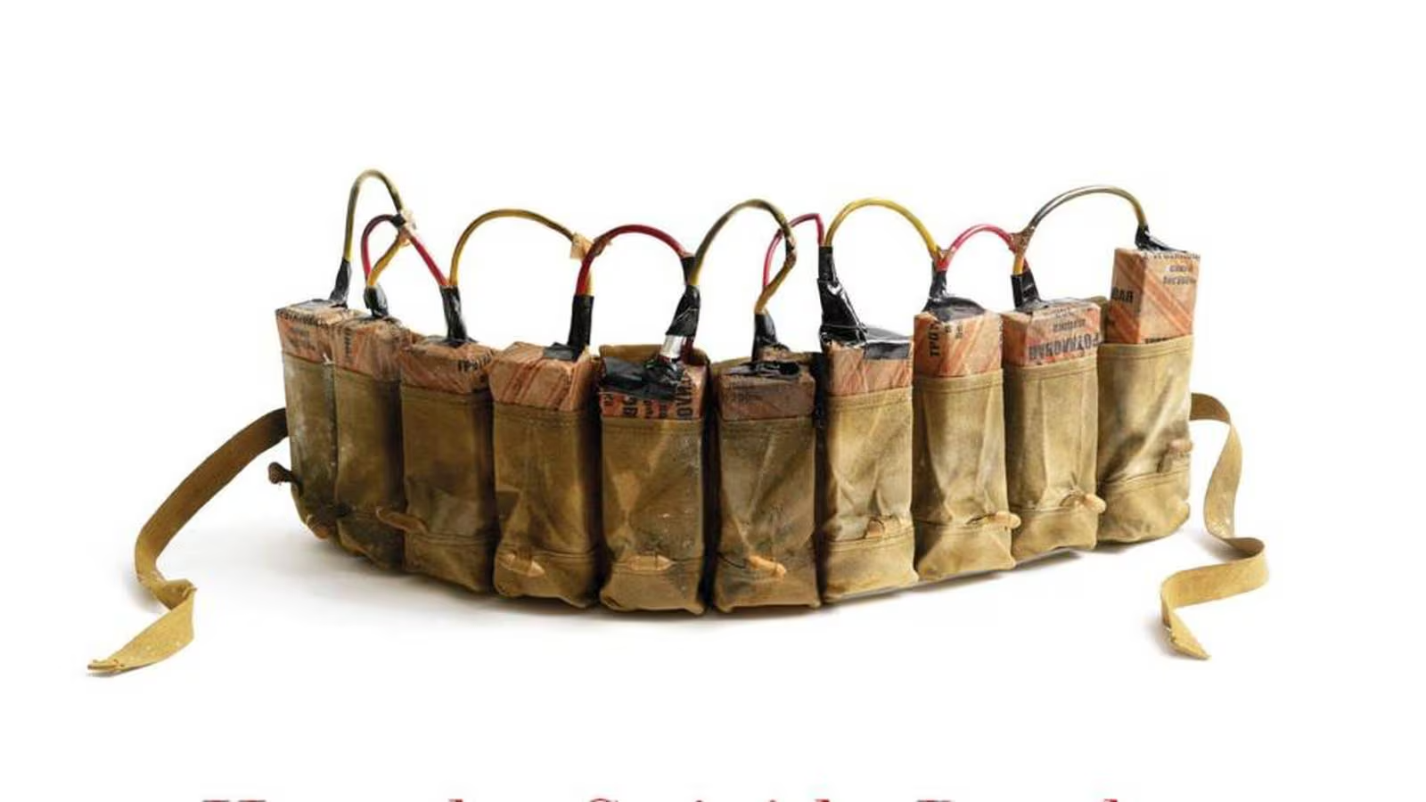 Suicide bomber targets Borno mosque - Pluboard